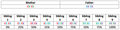 Are You Genetically Closer to Your Parents or Siblings? | Genetics Digest