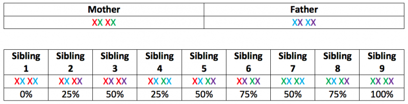 Are You Genetically Closer to Your Parents or Siblings? | Genetics Digest